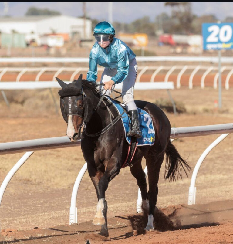 Racing Sales | Buying and Selling Thoroughbreds just got easier.